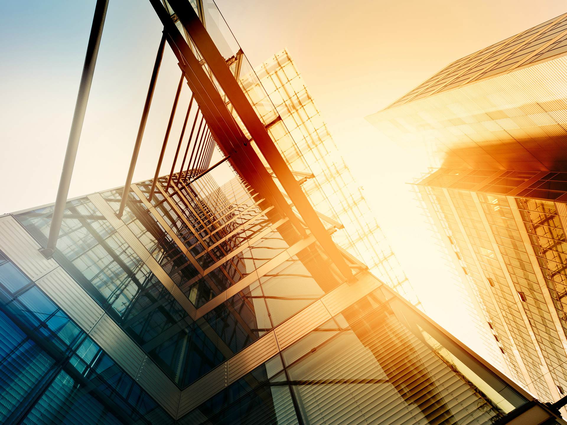 2020 Venture Capital Report