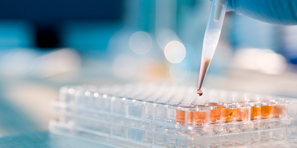 WilmerHale Represents Infinity Pharmaceuticals in $92M Public Offering ...